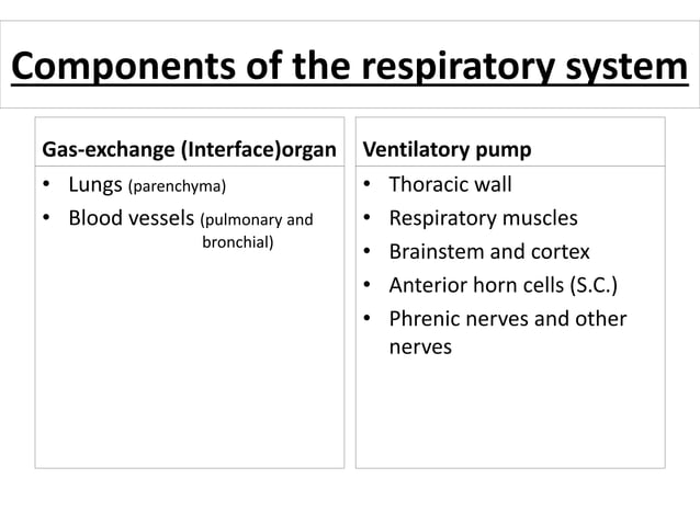 Respiratory failure role of abg's in icu | PPTX | Lung and Respiratory ...