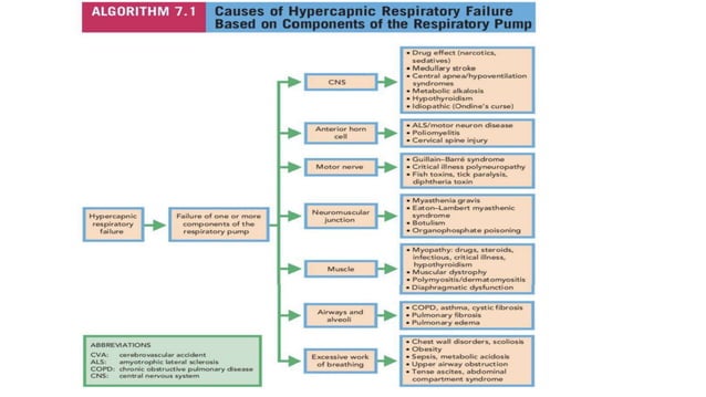 Respiratory Failure ARDS.pptx