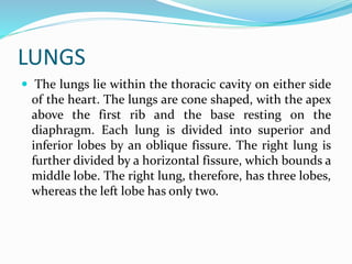 RESPIRATORY FAILURE & CHEST TRAUMA.pptx
