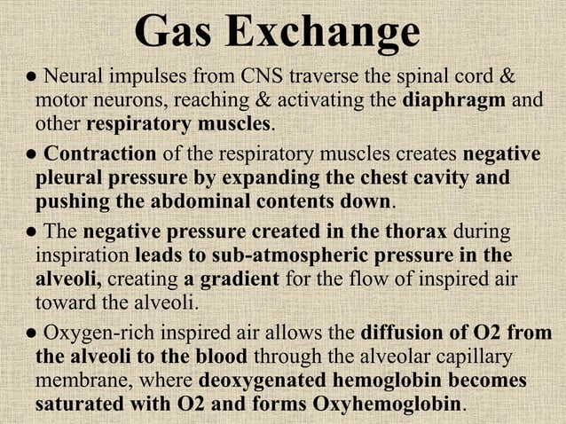 Respiratory Failure (Insufficiency) - Rivin | PPT