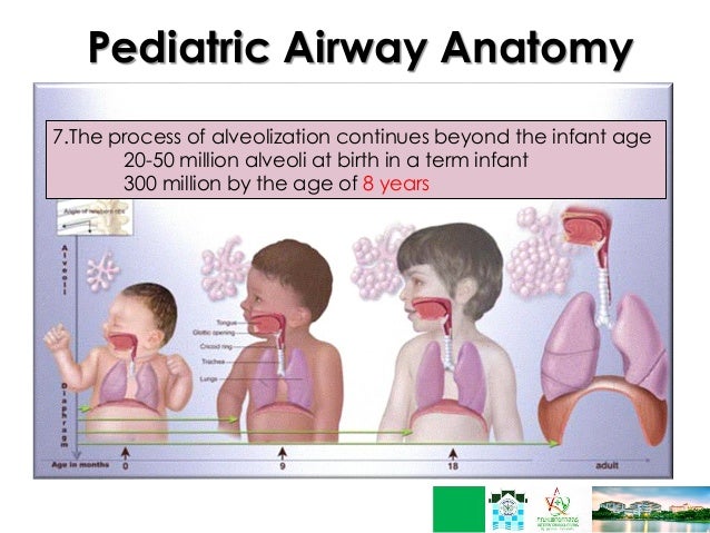 Respiratory Distress In The Pediatric Patient Assessment