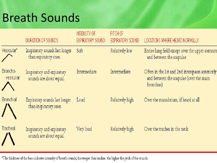 Different lung sounds - northernklim