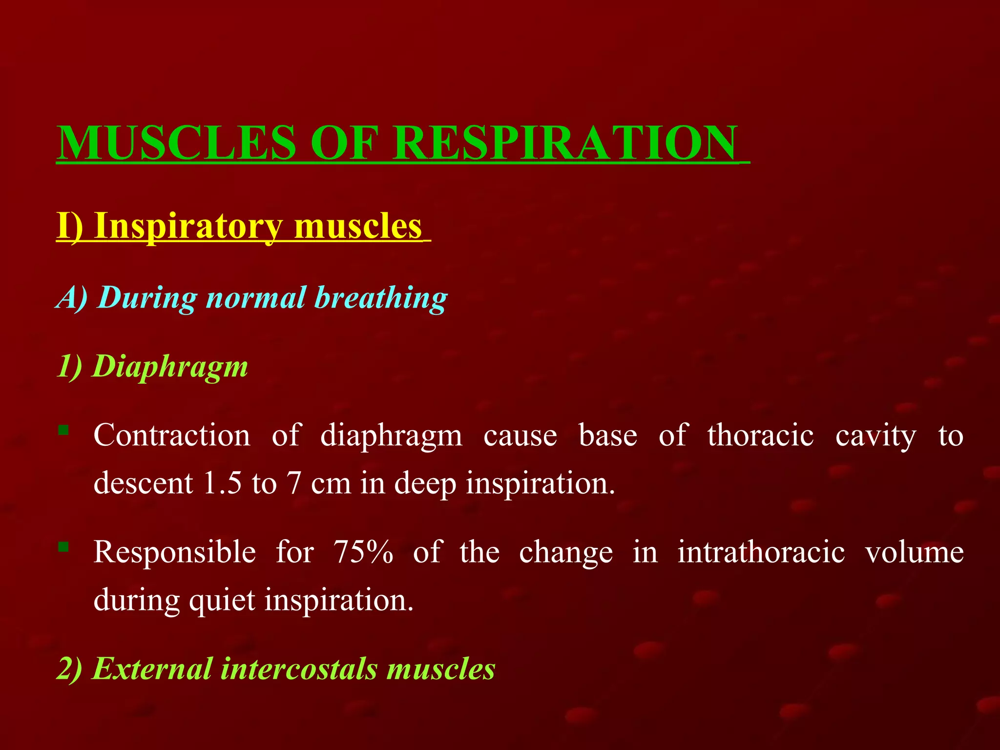 Respiratory function and importance to anesthesia final | PPT