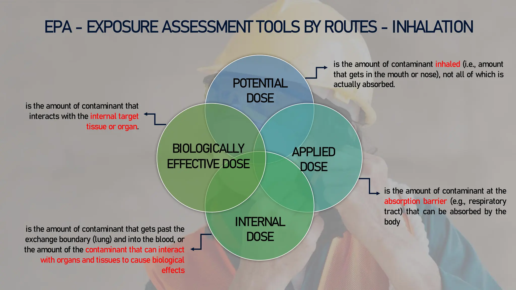 Respiratory Health Risk Assessment(1) (2).pdf | Lung and Respiratory ...