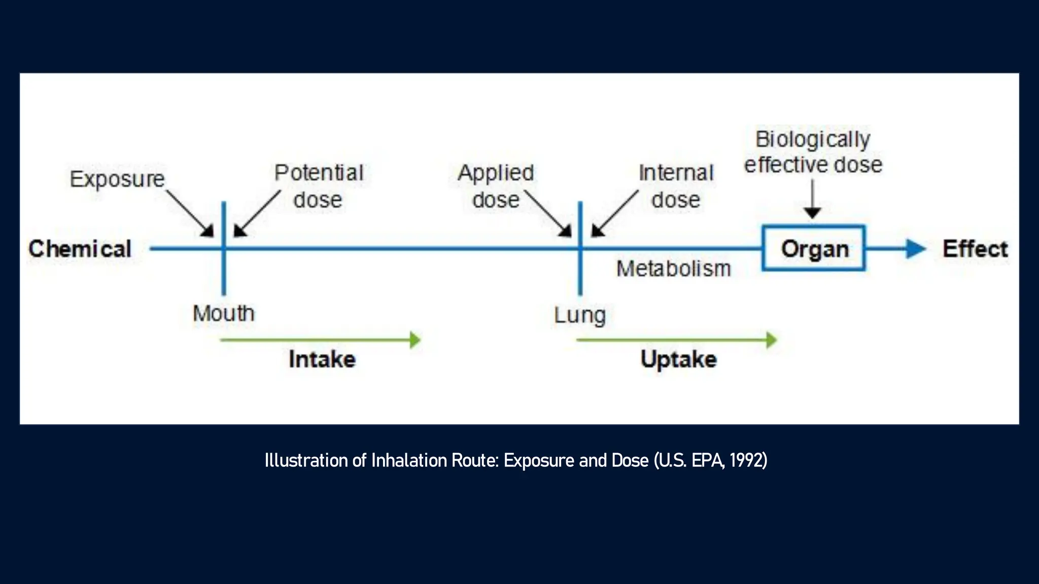 Respiratory Health Risk Assessment(1) (2).pdf | Lung and Respiratory ...
