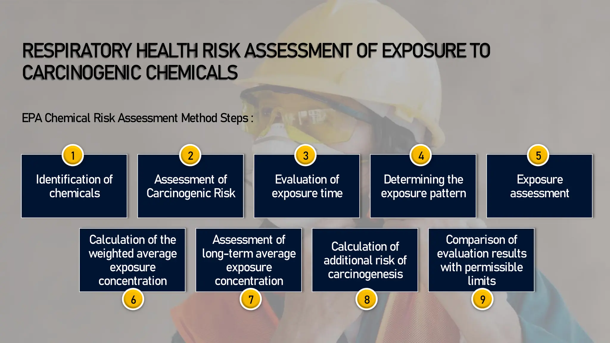 Respiratory Health Risk Assessment(1) (2).pdf | Lung and Respiratory ...