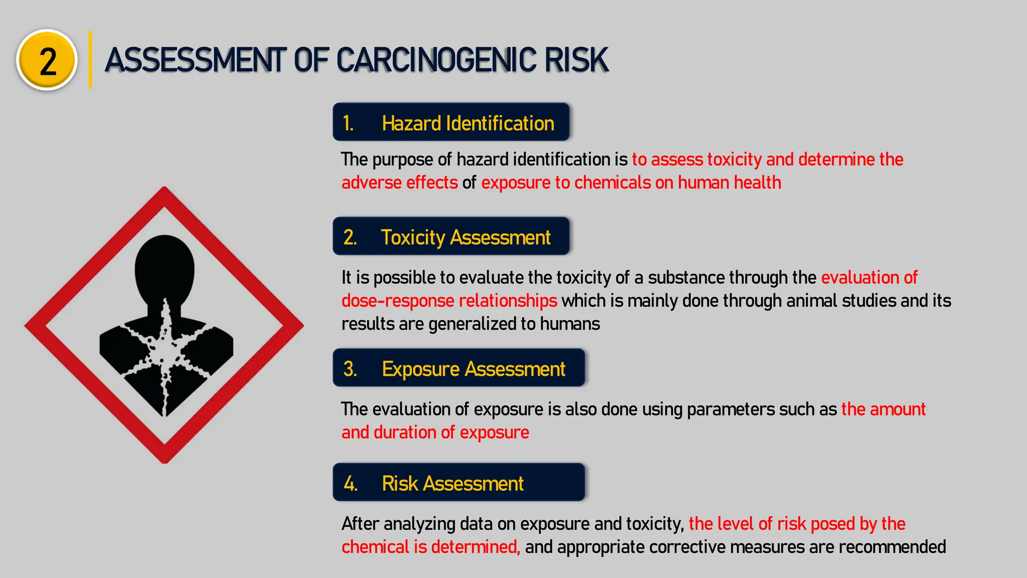 Respiratory Health Risk Assessment(1) (2).pdf