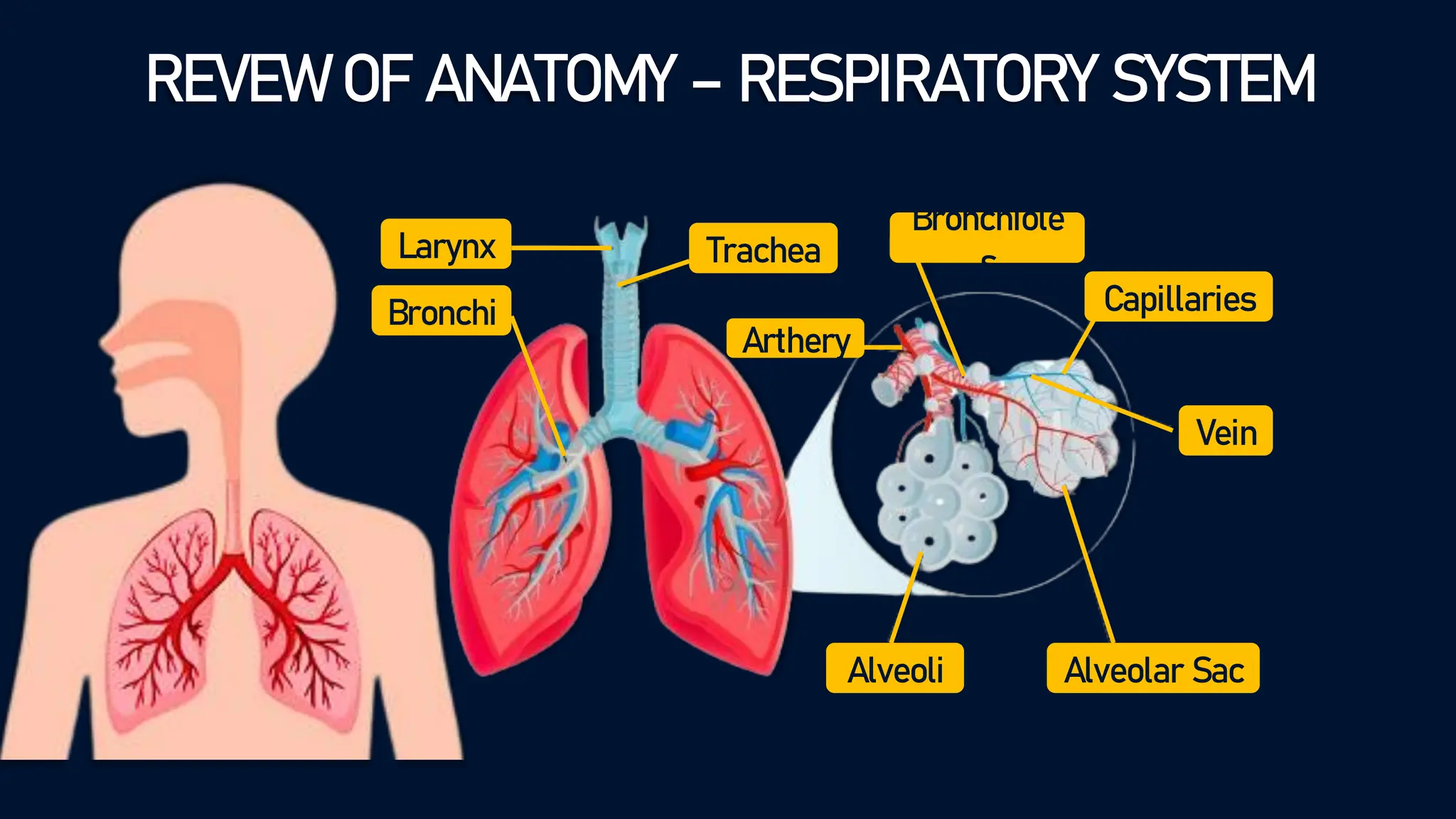 Respiratory Health Risk Assessment(1) (2).pdf