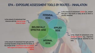 Respiratory Health Risk Assessment(1) (2).pdf | Lung and Respiratory ...
