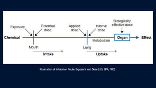 Respiratory Health Risk Assessment(1) (2).pdf | Lung and Respiratory ...