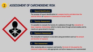 Respiratory Health Risk Assessment(1) (2).pdf | Lung and Respiratory ...