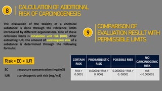 Respiratory Health Risk Assessment(1) (2).pdf | Lung and Respiratory ...