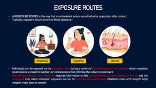 Respiratory Health Risk Assessment(1) (2).pdf | Lung and Respiratory ...