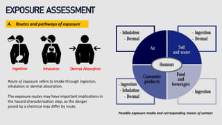 Respiratory Health Risk Assessment(1) (2).pdf | Lung and Respiratory ...