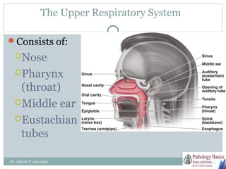 respiratory infections - microbiology | PPT
