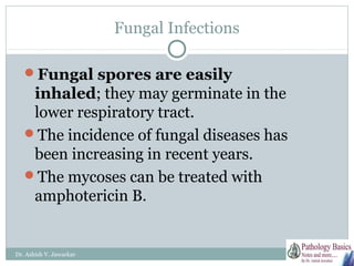 respiratory infections - microbiology | PPT