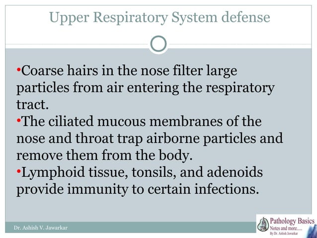 respiratory infections - microbiology | PPT