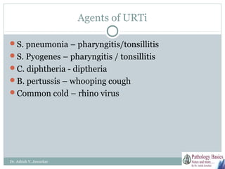 respiratory infections - microbiology | PPT