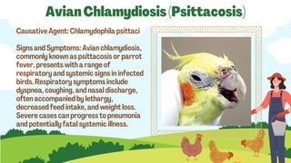 Respiratory Infection in Poultry_20241206_073159_0000.pdf