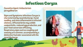 Respiratory Infection in Poultry_20241206_073159_0000.pdf