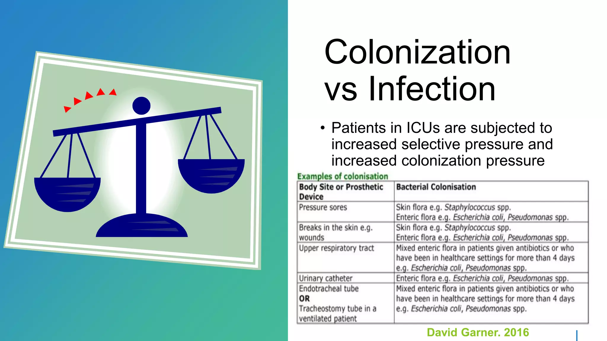Respiratory infections in ICU setting: diagnostic and therapeutic ...