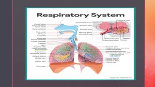 Respiratory instrumentation | PPTX