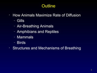 Respiratory intro | PPT