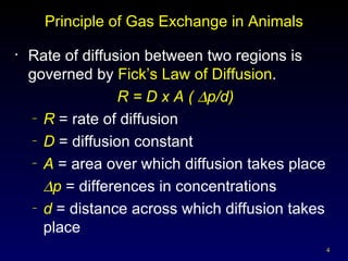 Respiratory intro | PPT