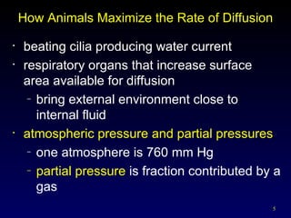 Respiratory intro | PPT