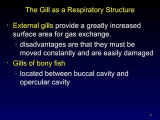 Respiratory intro | PPT