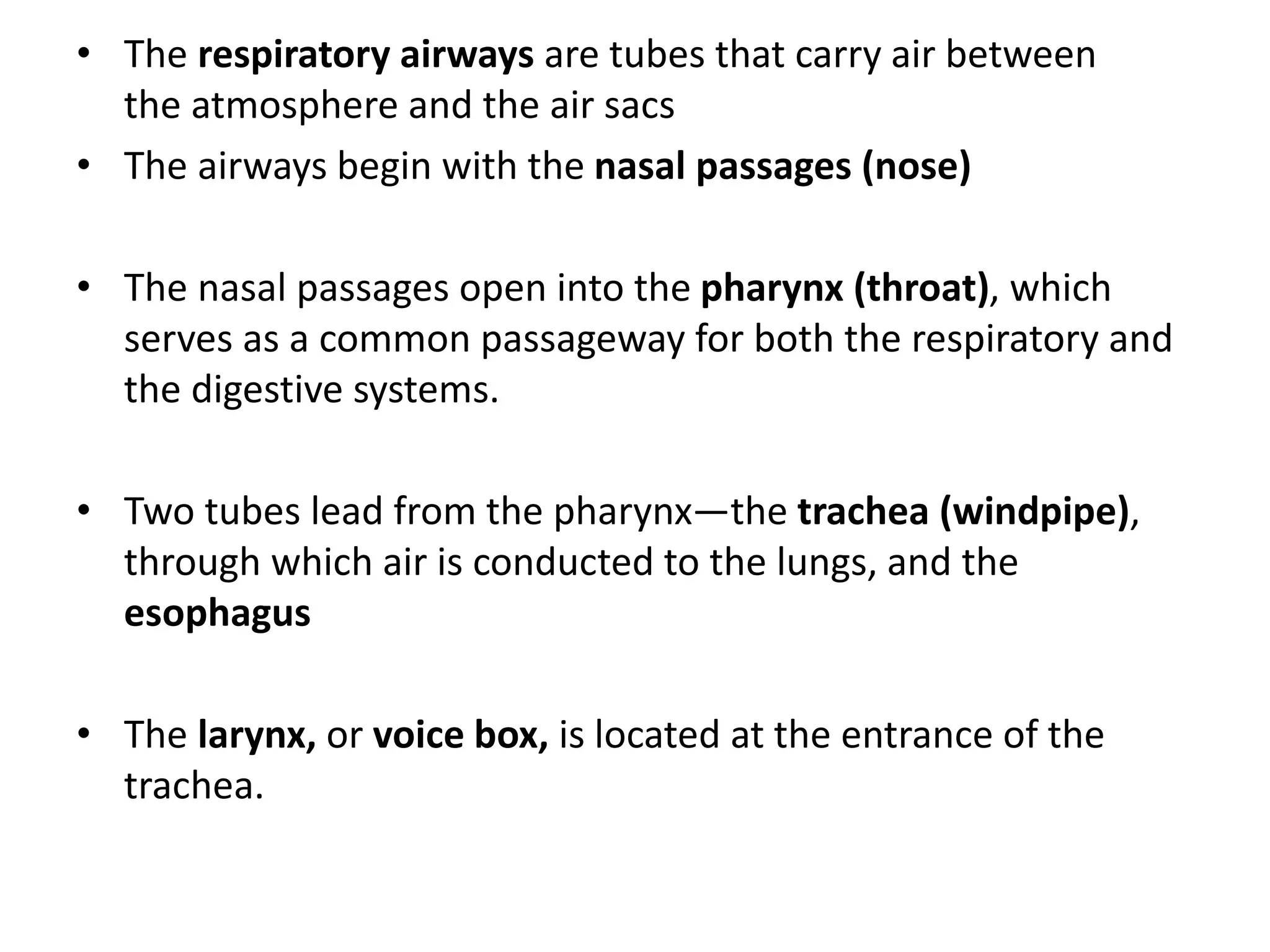 Respiratory tract introduction | PPT
