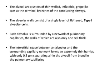 Respiratory tract introduction | PPT