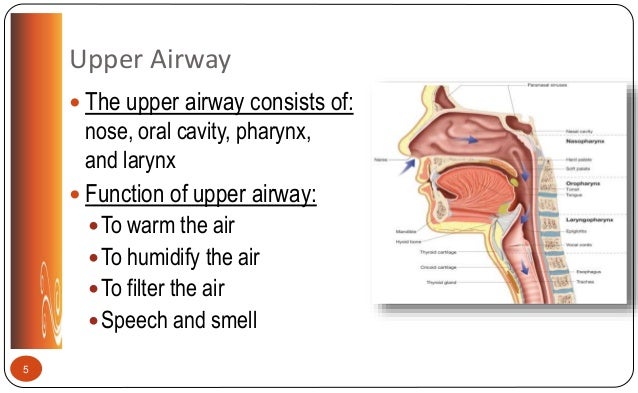Respiratory lecture nurs 3340 fall 2017