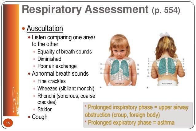 Respiratory lecture nurs 3340 spring 2017