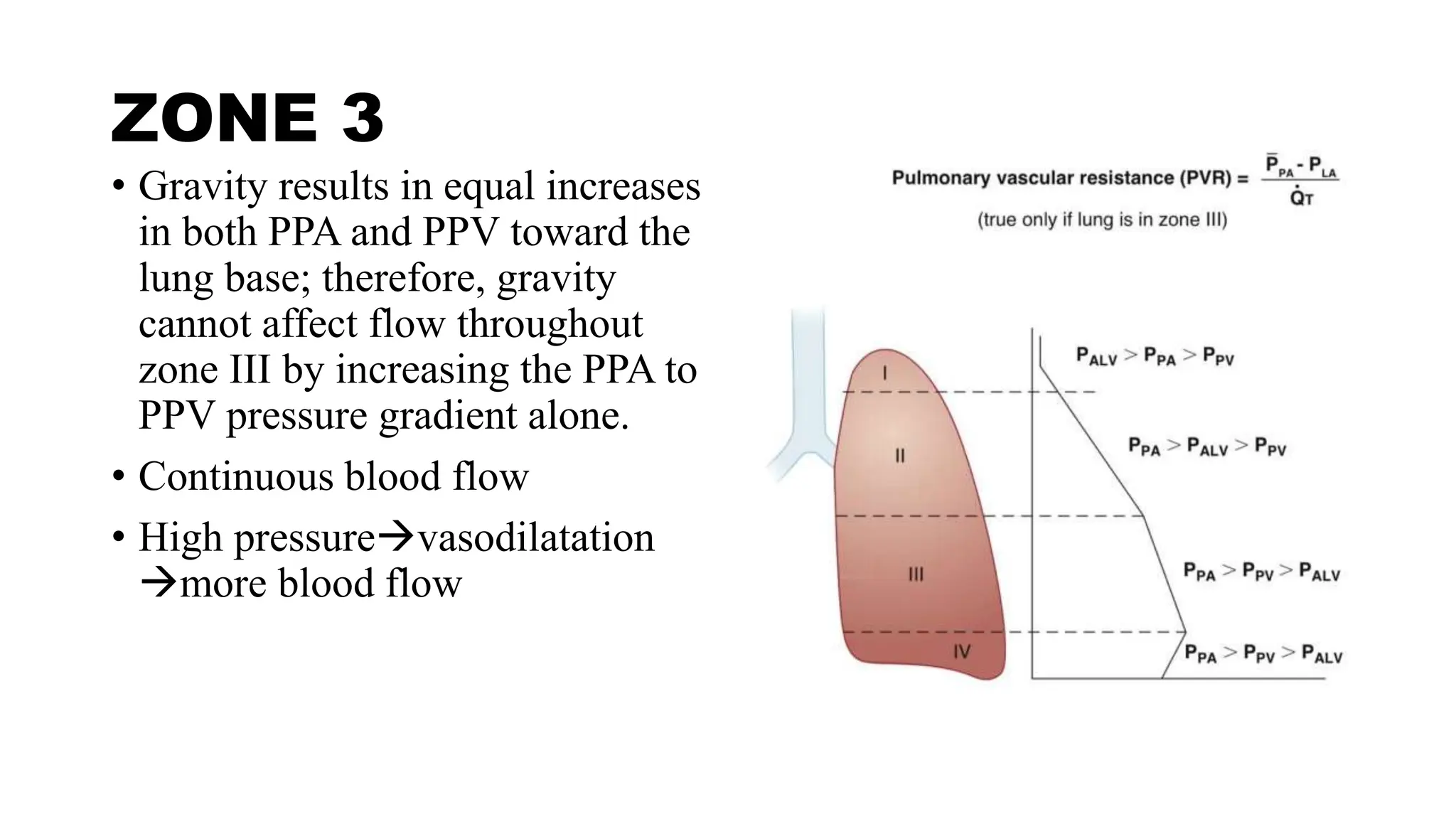 respiratory mechanics, oxygen cascade & oxygen dissociation curve.pptx