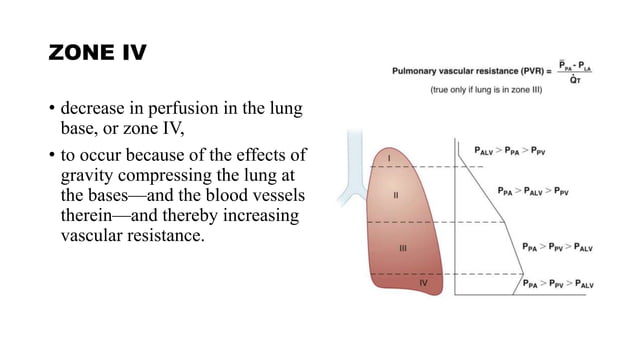 respiratory mechanics, oxygen cascade & oxygen dissociation curve.pptx