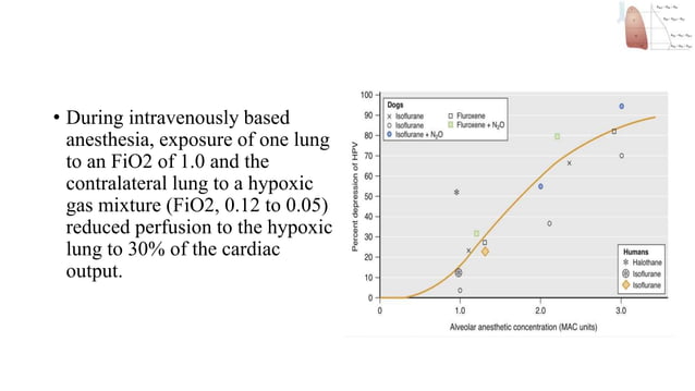 respiratory mechanics, oxygen cascade & oxygen dissociation curve.pptx