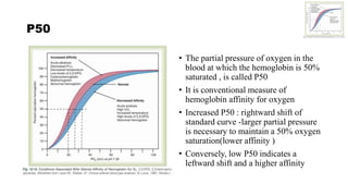 respiratory mechanics, oxygen cascade & oxygen dissociation curve.pptx