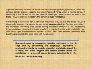 Respiratory methods | PPT