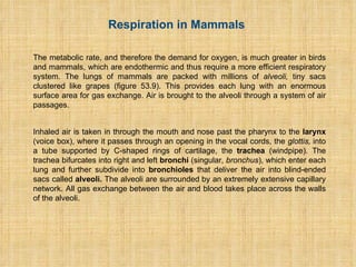 Respiratory methods | PPT