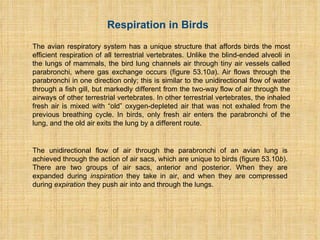 Respiratory methods | PPT