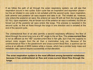 Respiratory methods | PPT