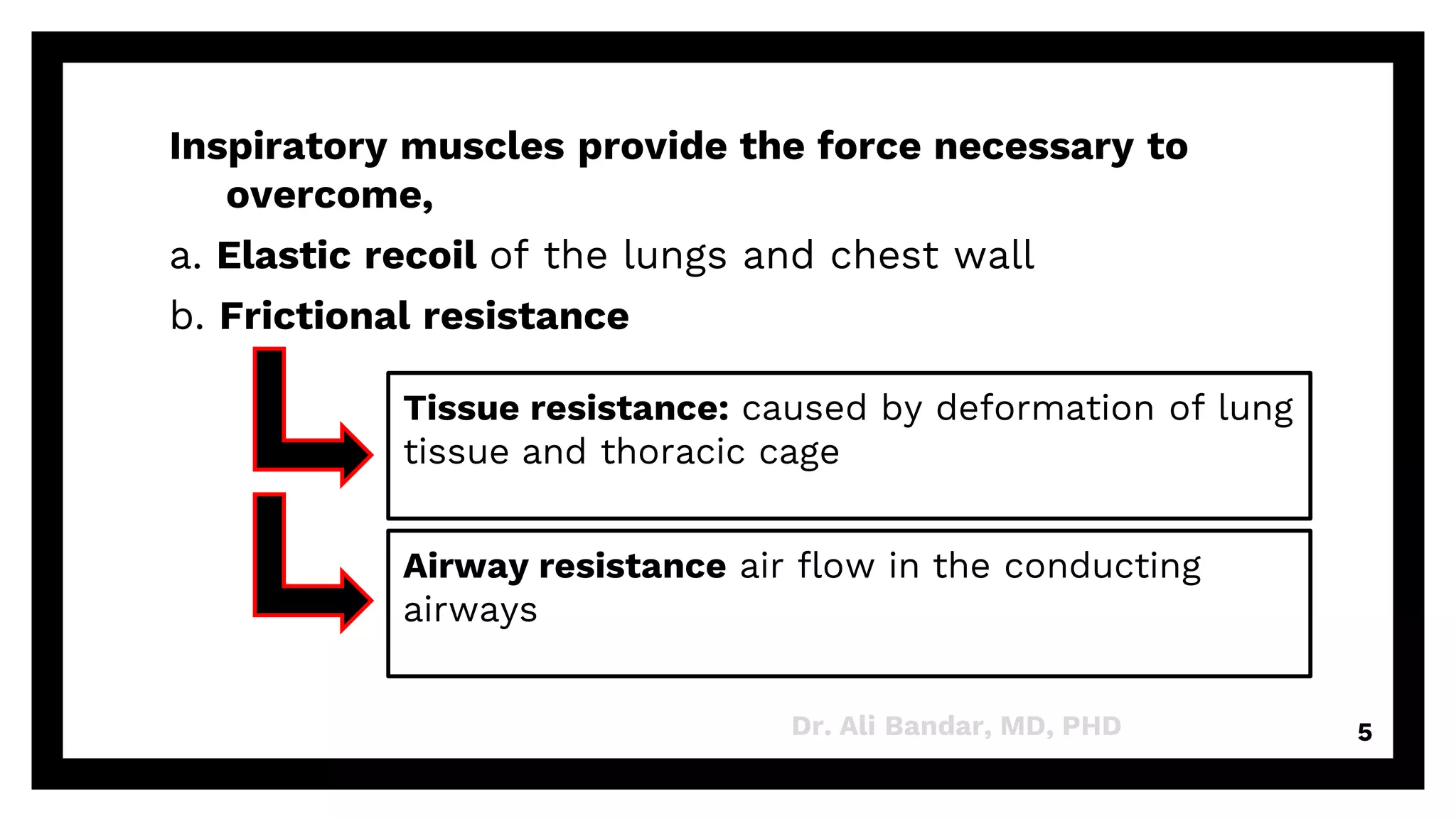 Mechanics of breathing, Lung mechanics, ventilation, Oxygen and Carbon ...
