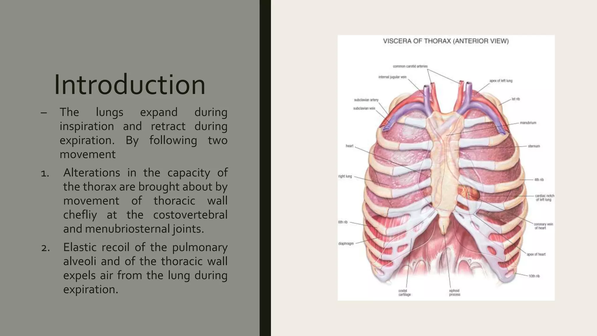 Respiratory movement | PPTX