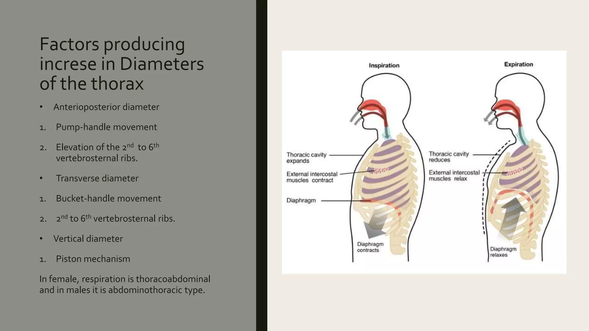 Respiratory movement | PPTX