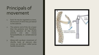 Respiratory movement | PPTX