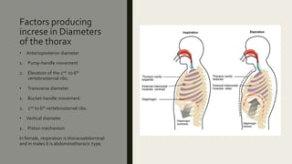 Respiratory movement | PPTX