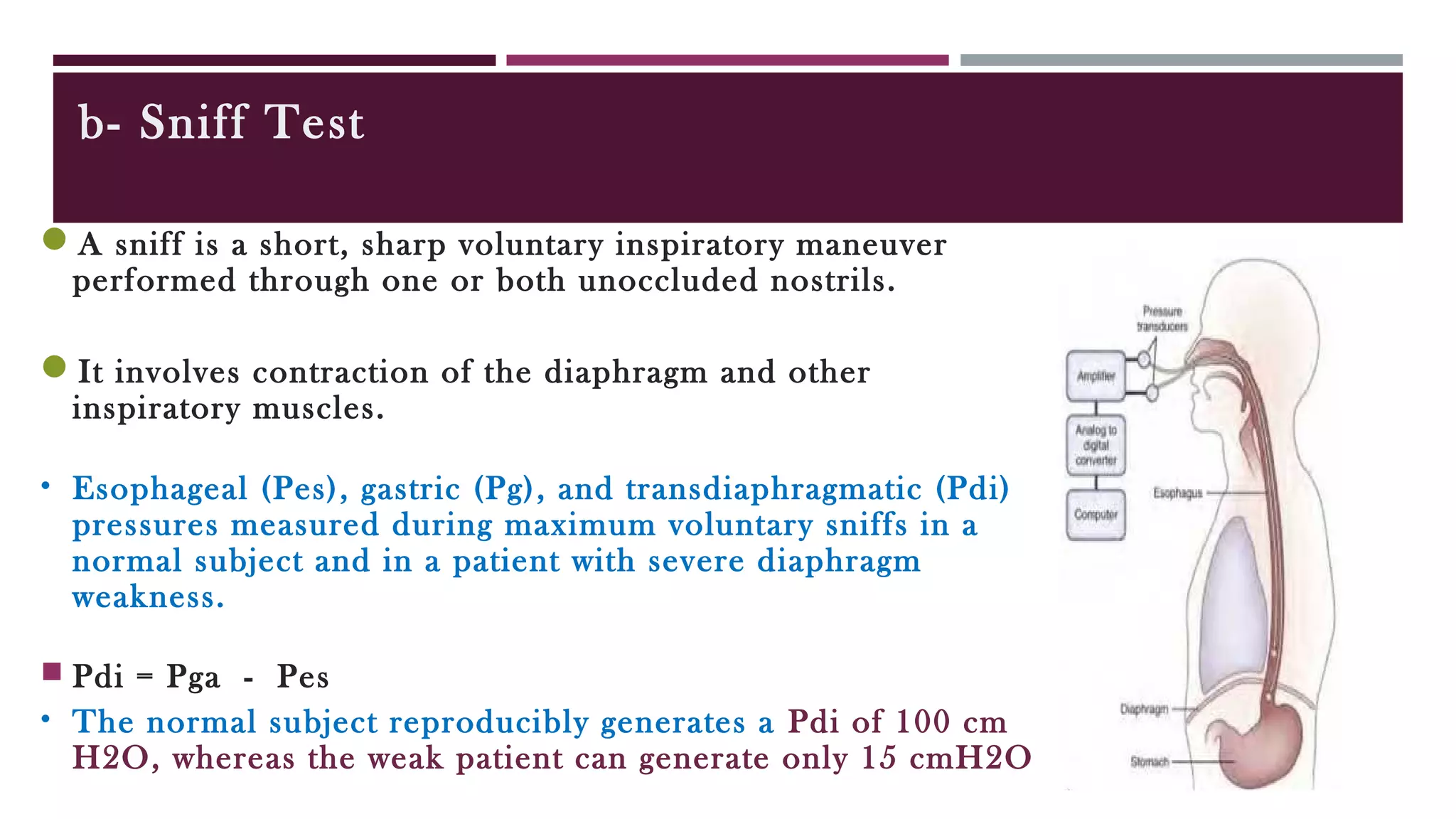 Respiratory Muscle Assessment | PPT