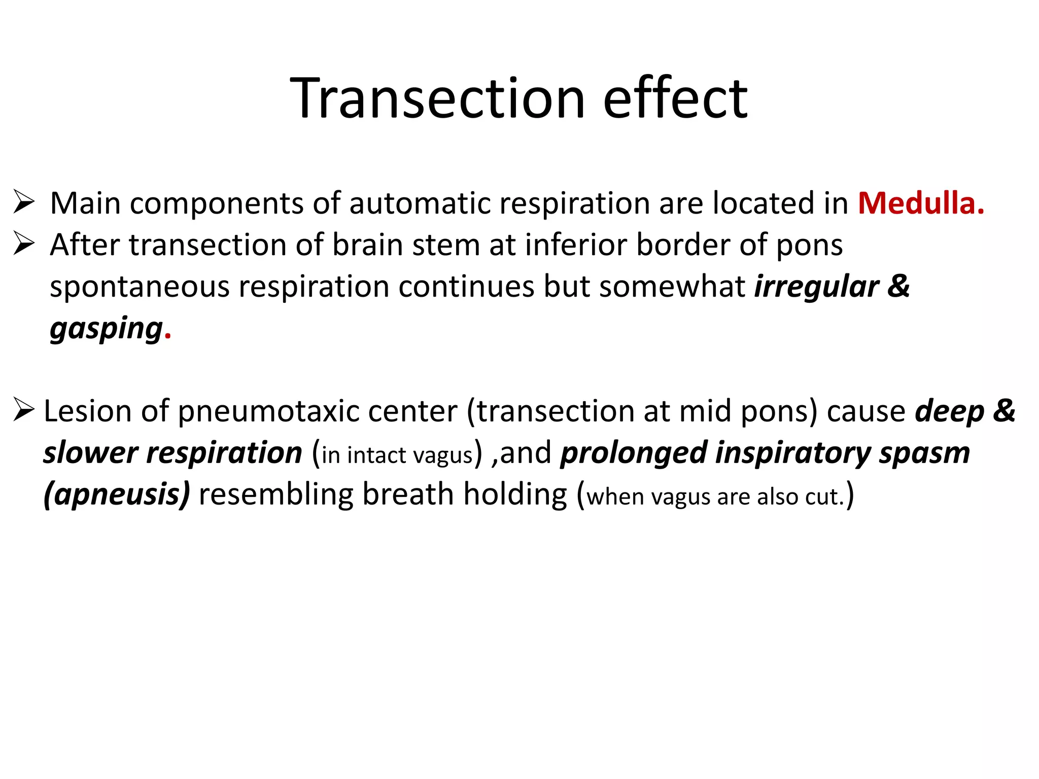 Respiratory neural control | PPTX