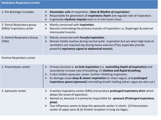 Respiratory neural control | PPTX